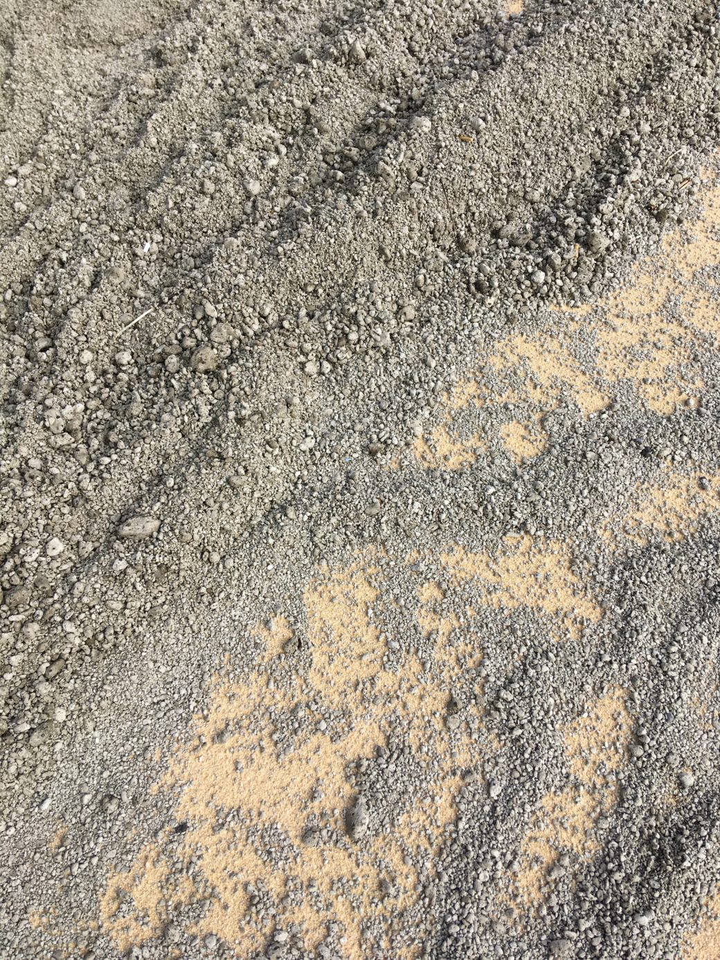 グレーゾーン🌊 | 波之上スイミングスクール